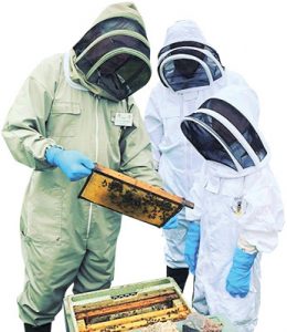 Buckley's Bees - Buckley's Bees