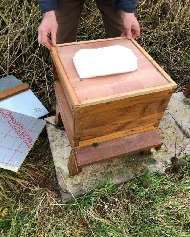 Contact – Buckley's Bees